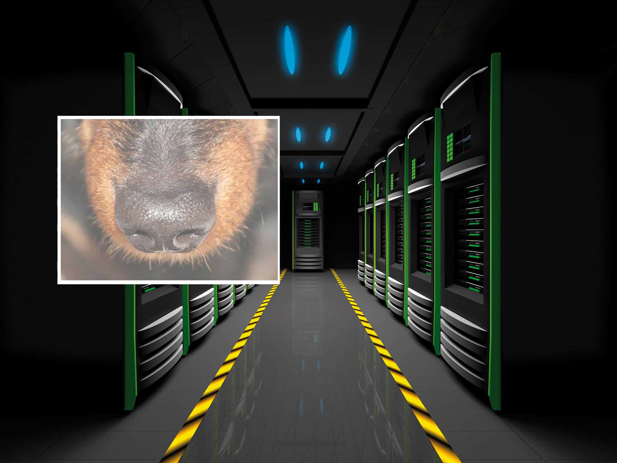 Monitoring TELESYSTEMS THORWARTH Sicherheitstechnik